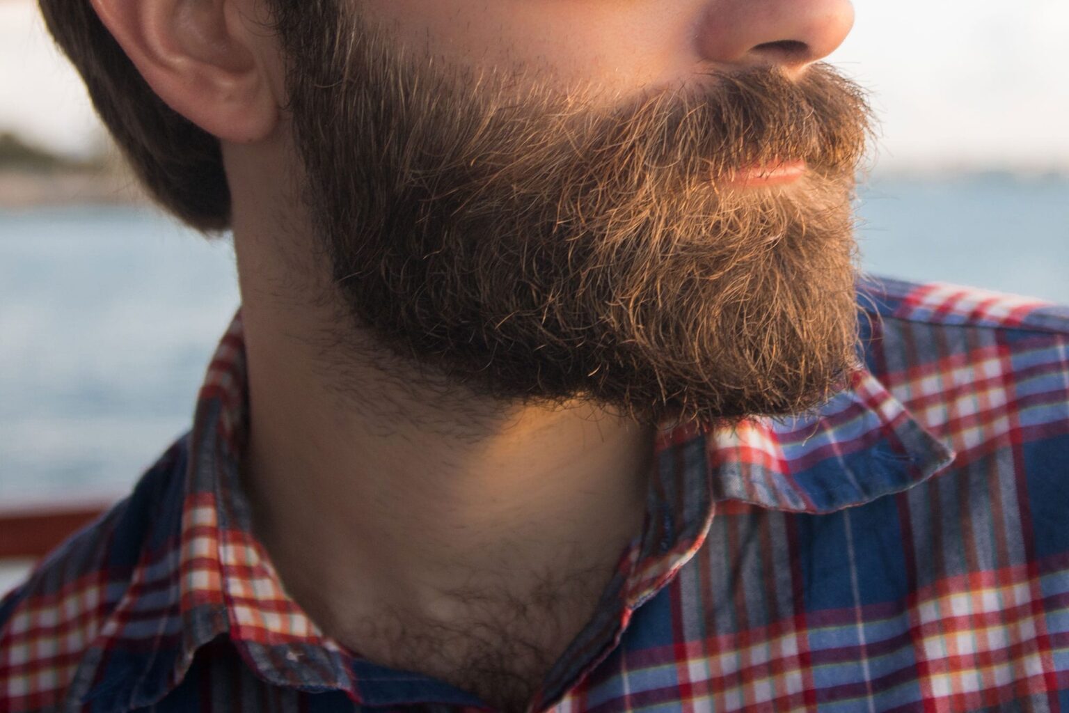 The 7 Easiest & Most Effective Ways to Soften Your Beard