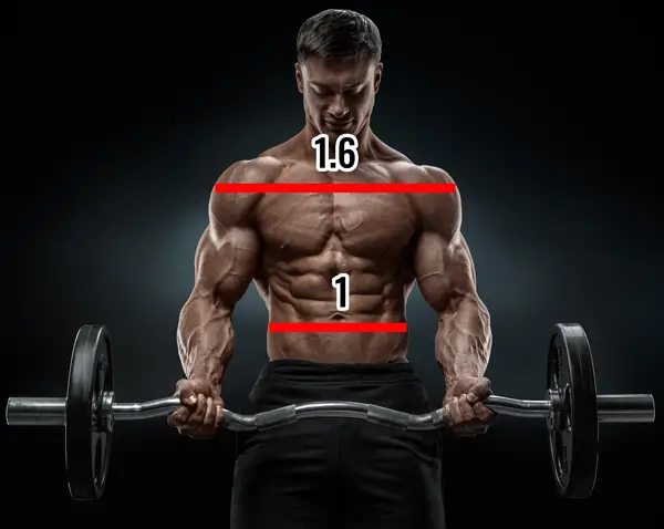 The Perfect Proportions for Sharp Style—According to Science, Art ...